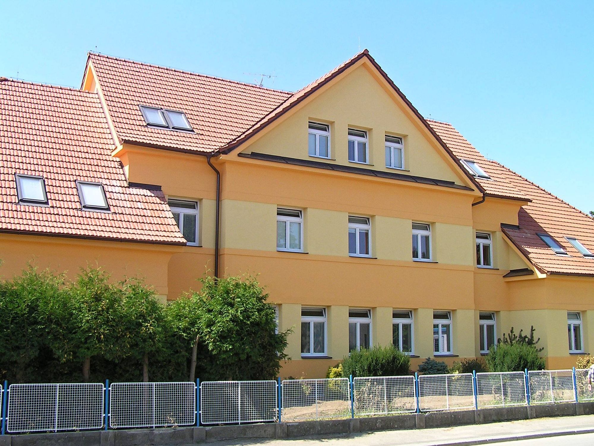 organizace Děti v akci / Společně pro dětské domovy z.s.